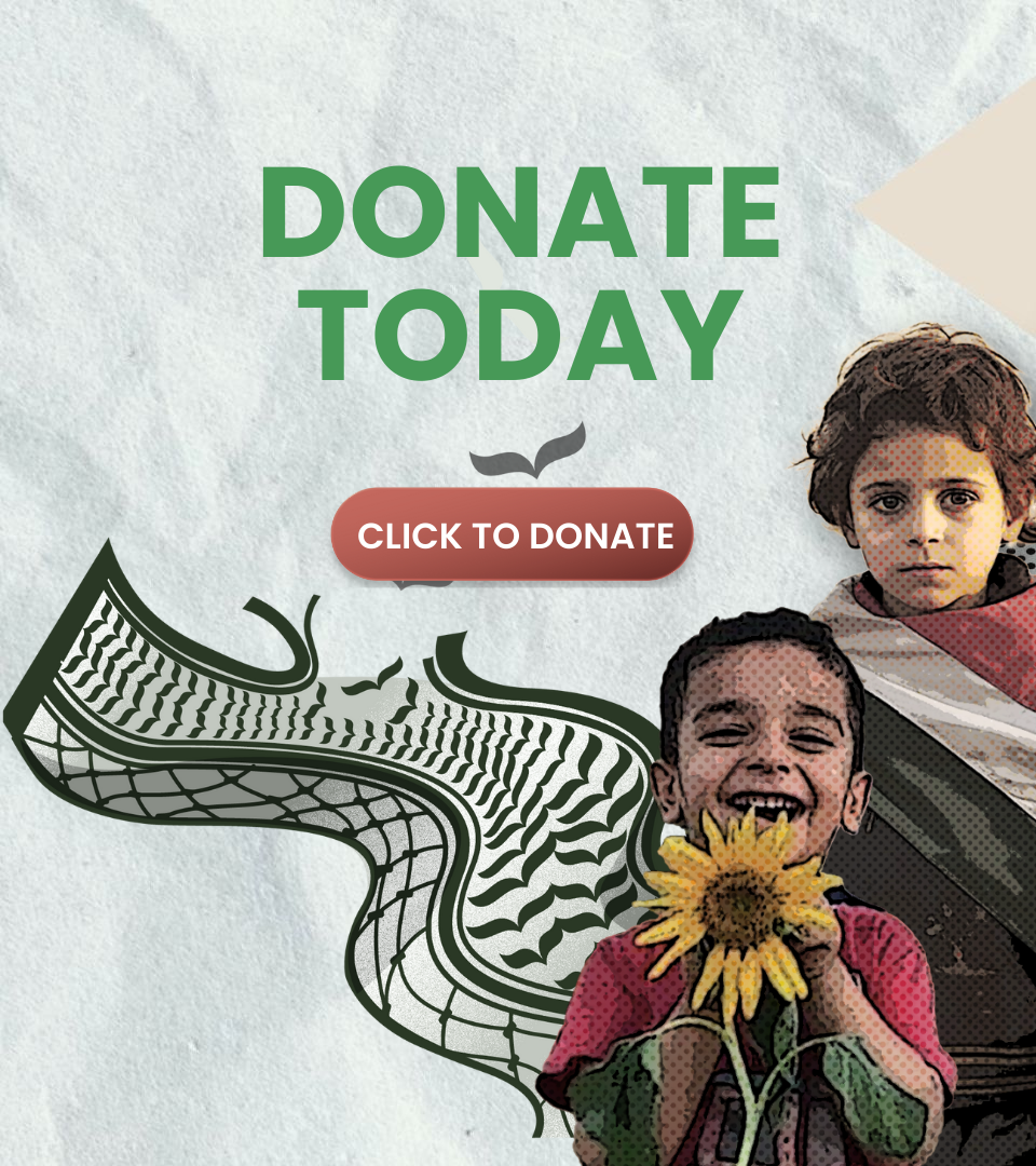 Why the Olive Tree is More Than Just a Tree in Palestine